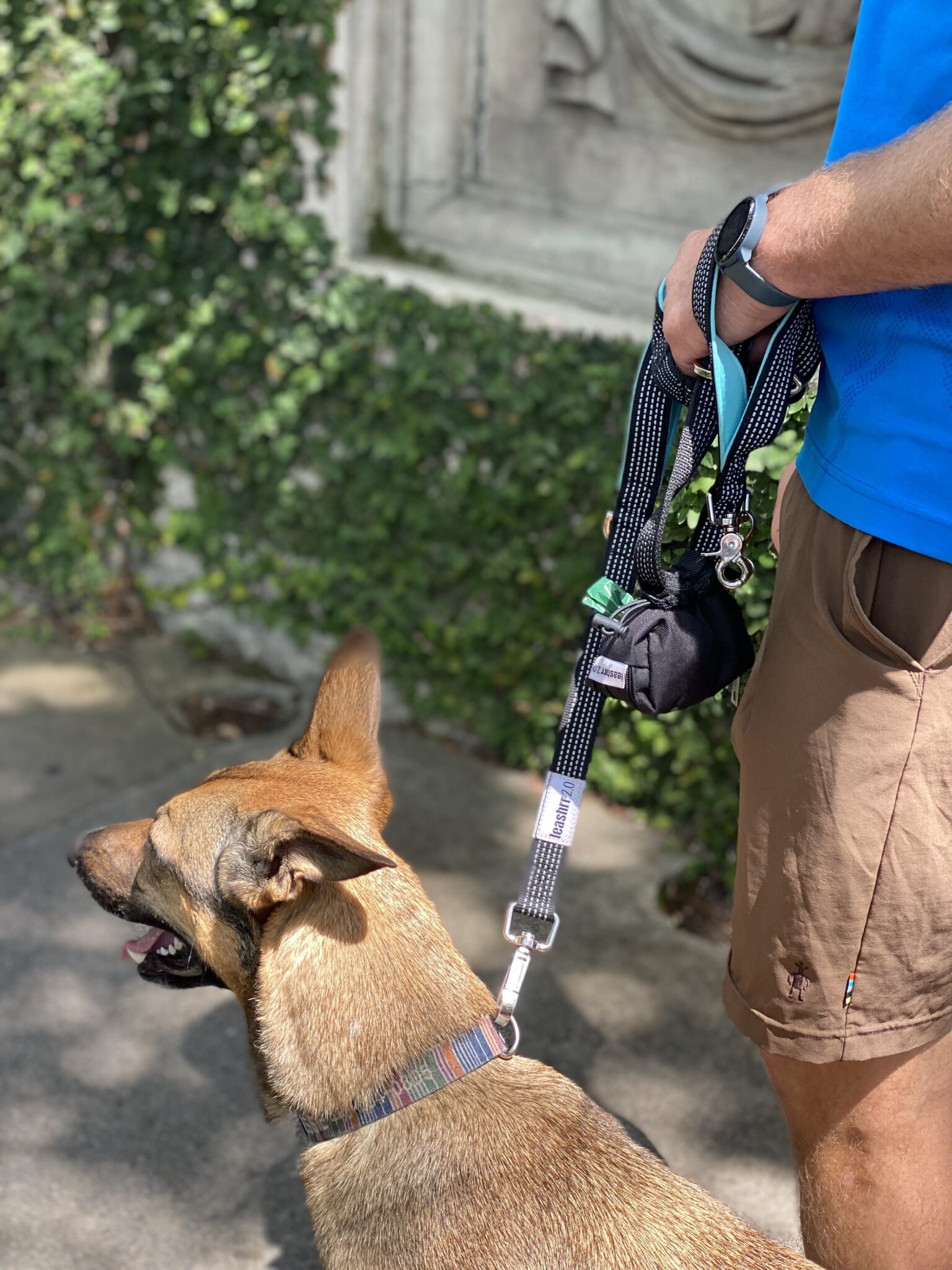 Heavy Duty No Pull Bungee Dog Leashes | Dog Accessories | Leashrr